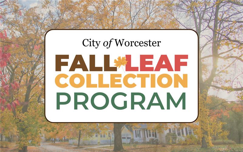 Health & Human Services | City of Worcester